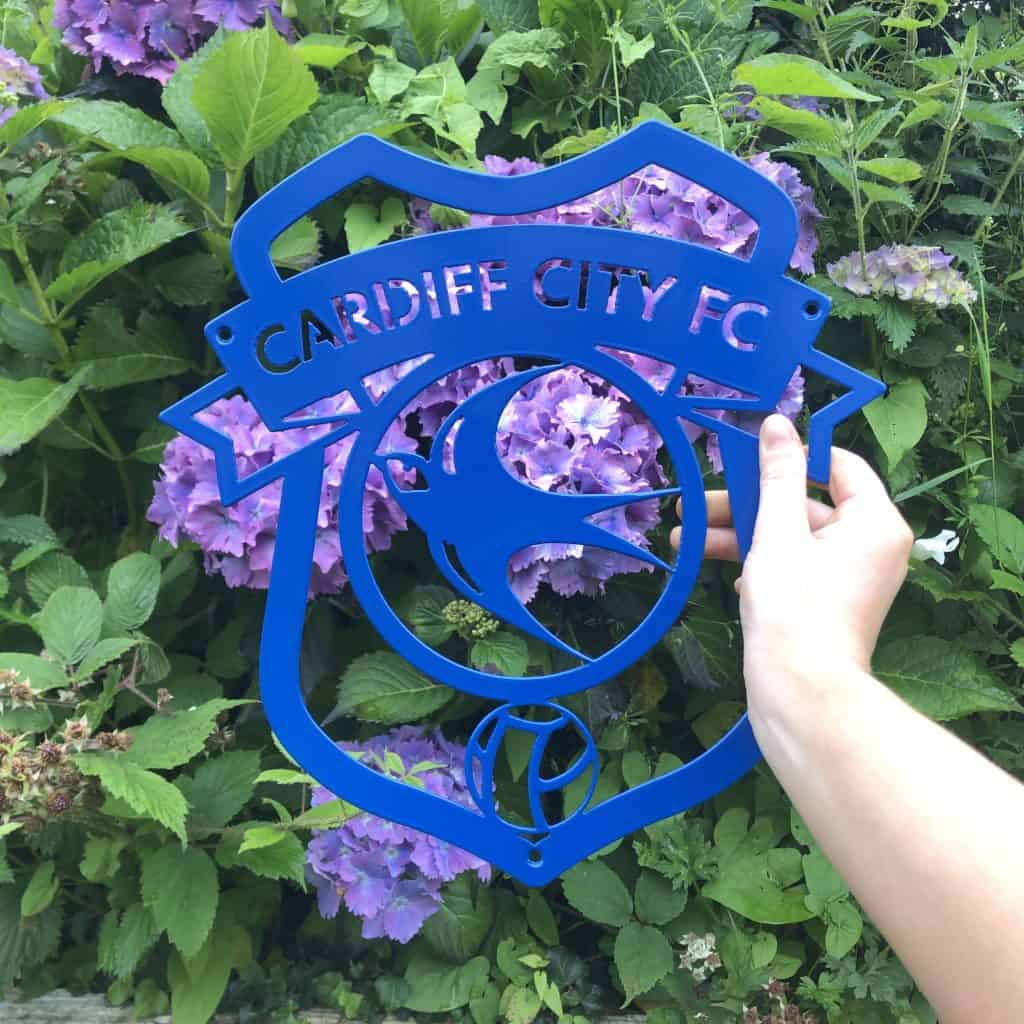 Cardiff City FC – Dragon Signs Ltd